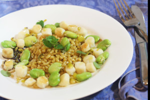 Kamut - an ancient grain for modern times - Fresh Food In A Flash
